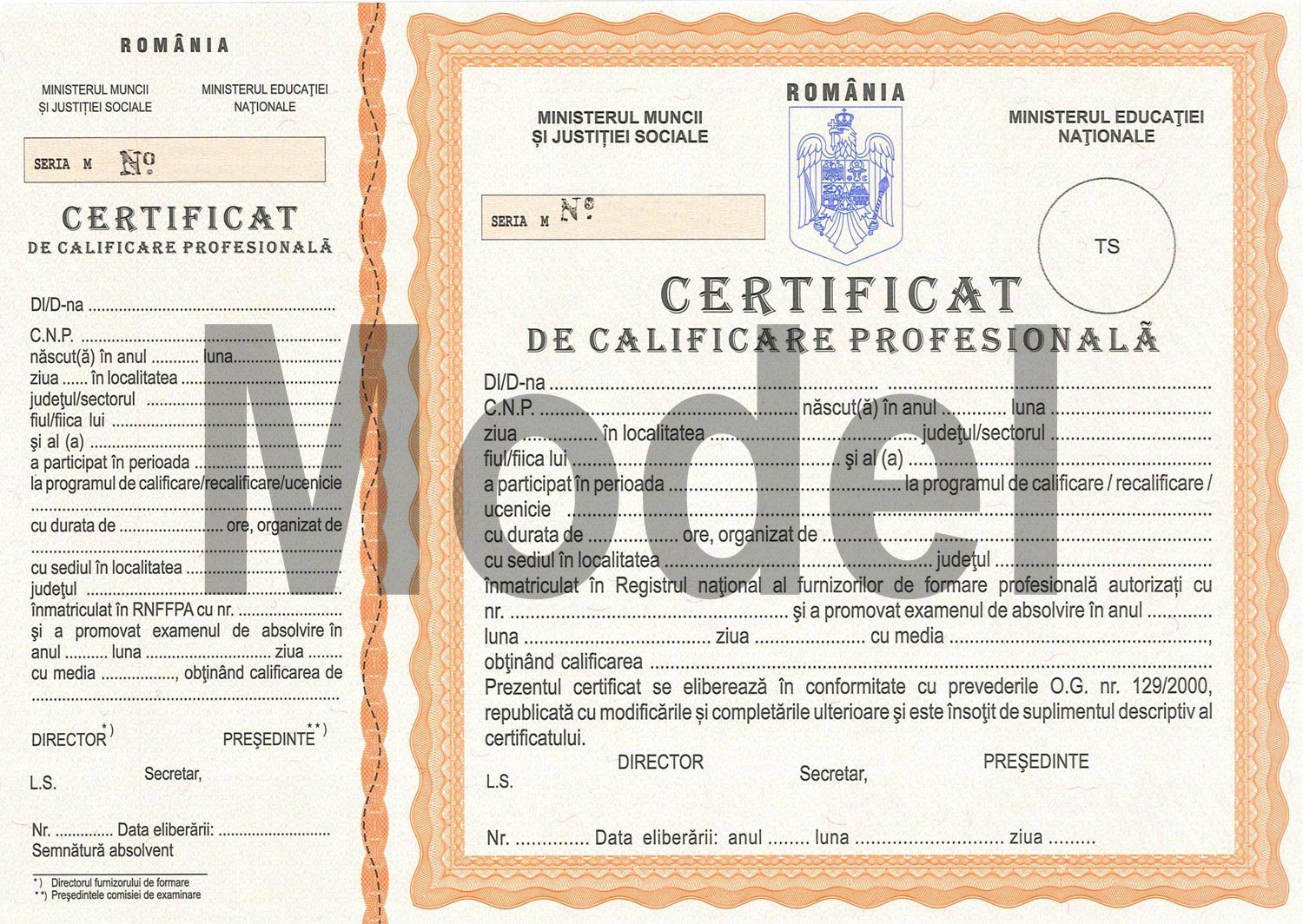 Cursuri – Pagina 2 – Calificare Profesionala